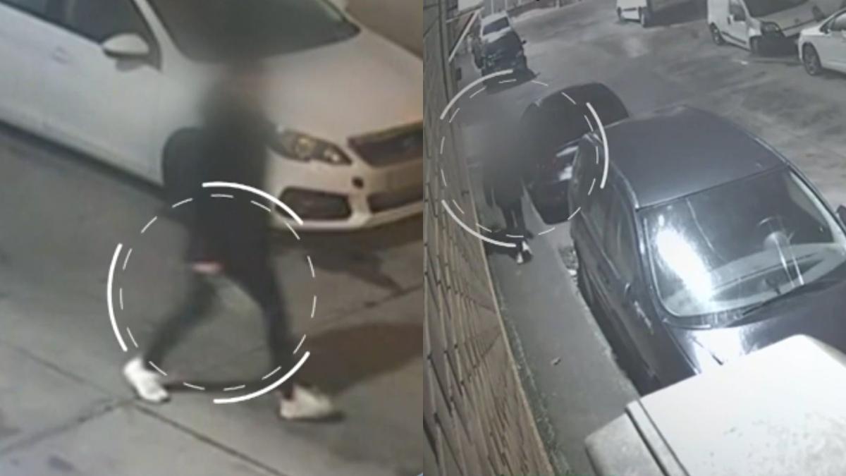 Pillan a un famoso actor saqueando coches junto a su hermano