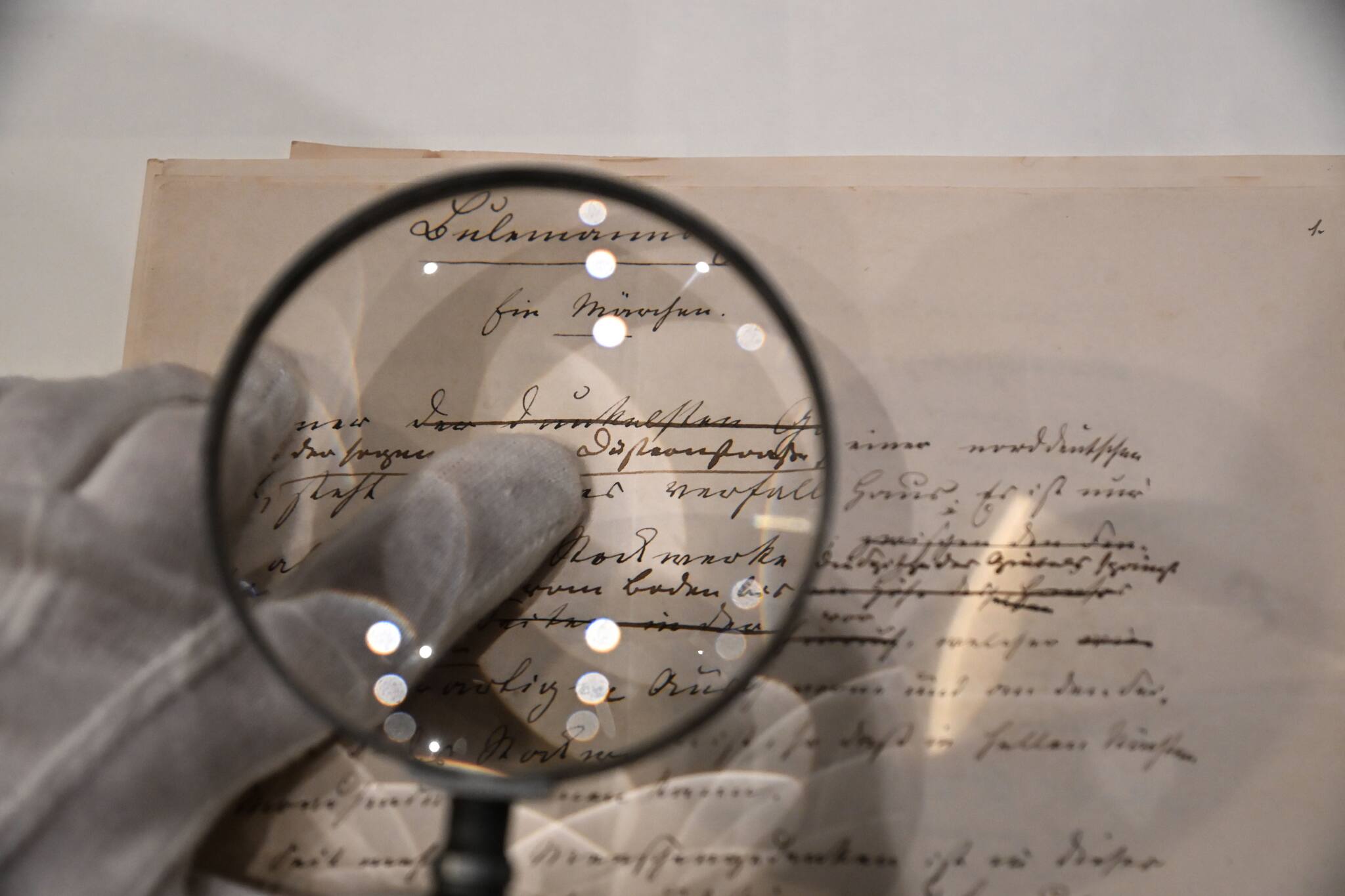 Mäuse hatten schon geknabbert: Vorläufer von Theodor Storms „Der ...