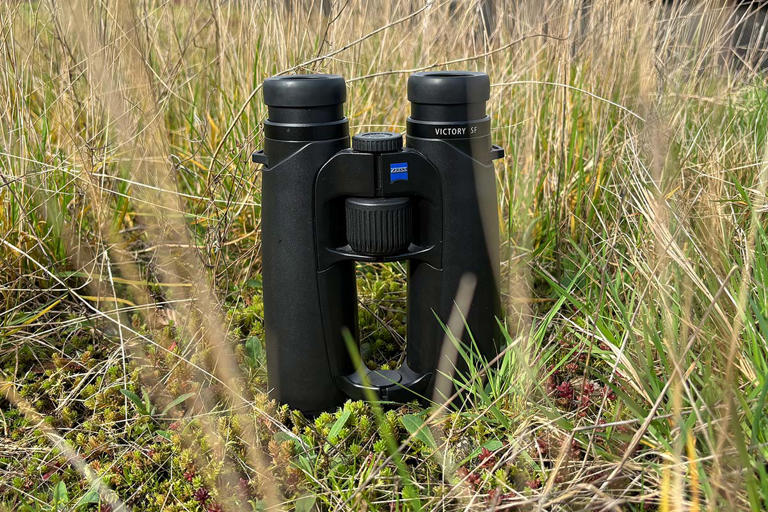 Zeiss Victory SF 10×42 im Test: Das Nonplusultra-Fernglas
