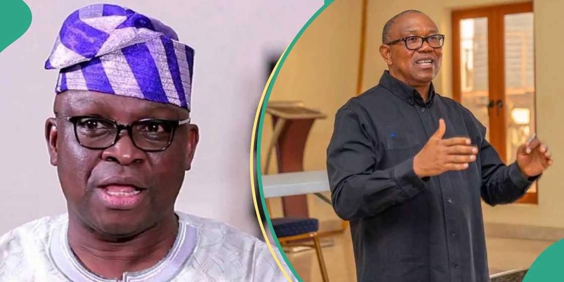 Without Peter Obi, we're spent forces: Fayose speaks on ADC's 2027 fate