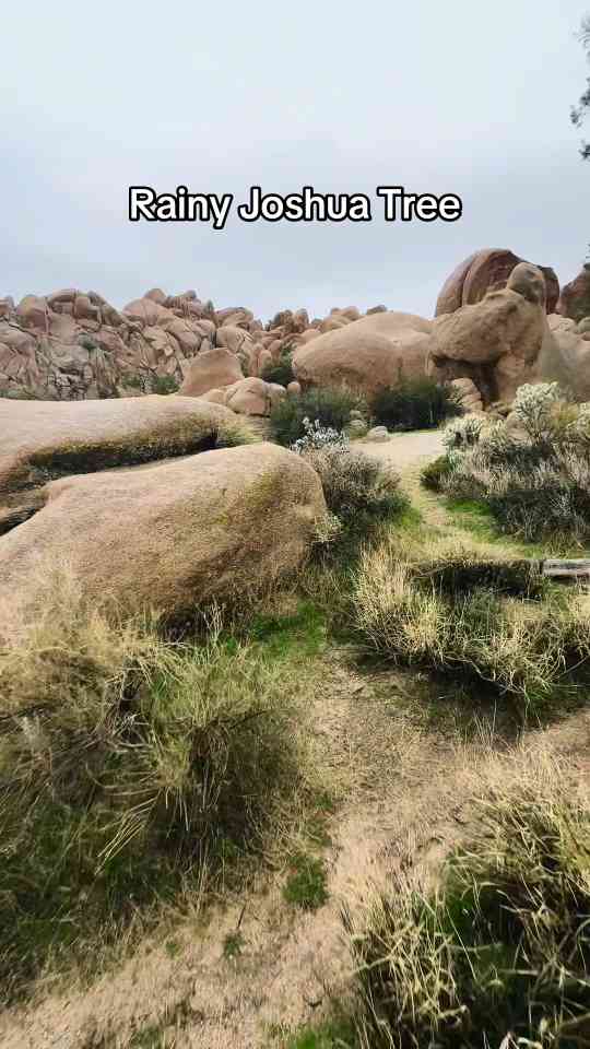 Best way to enter the new year