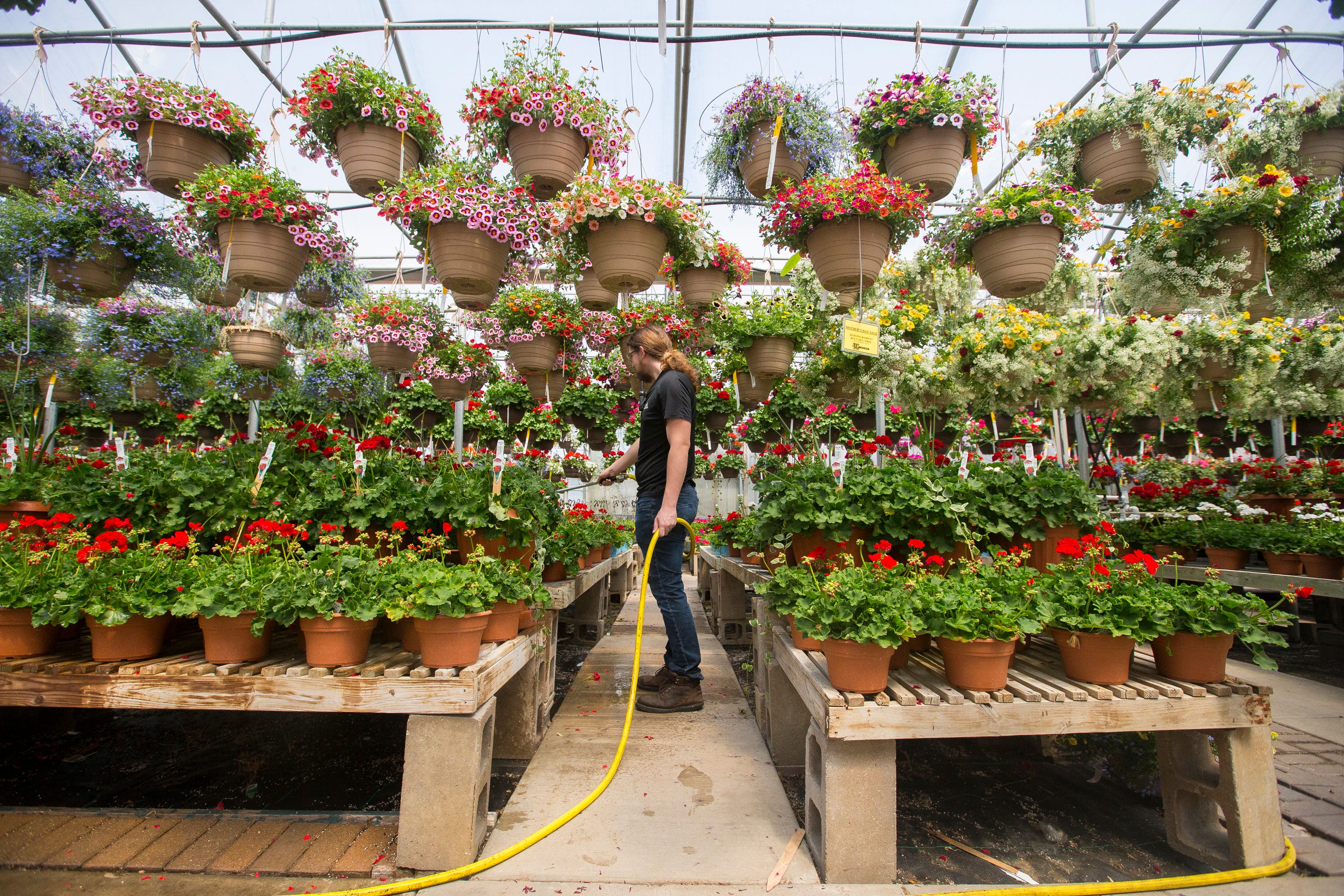 Platt Hill Nursery to open new Rockford location in spring 2026