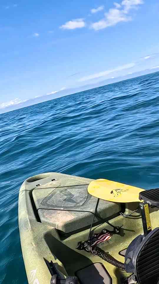 Yellowfin tuna explosion on a popper!