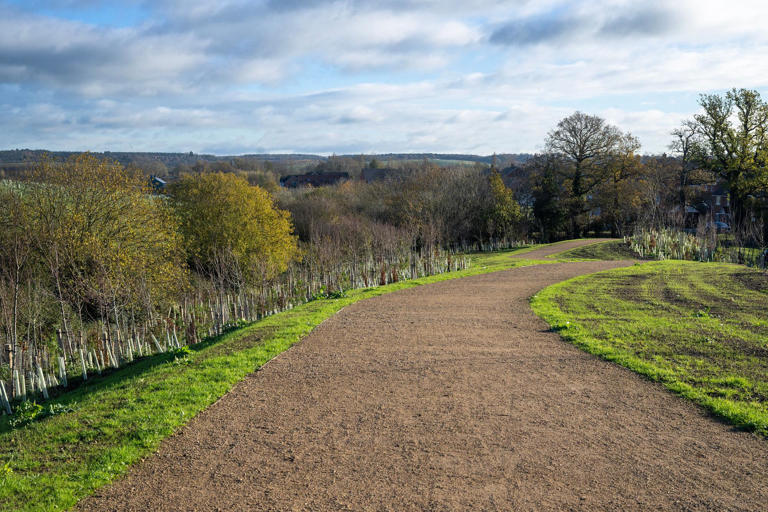 Taylor Wimpey plants over 23,000 shrubs and trees at Newton Leys ...