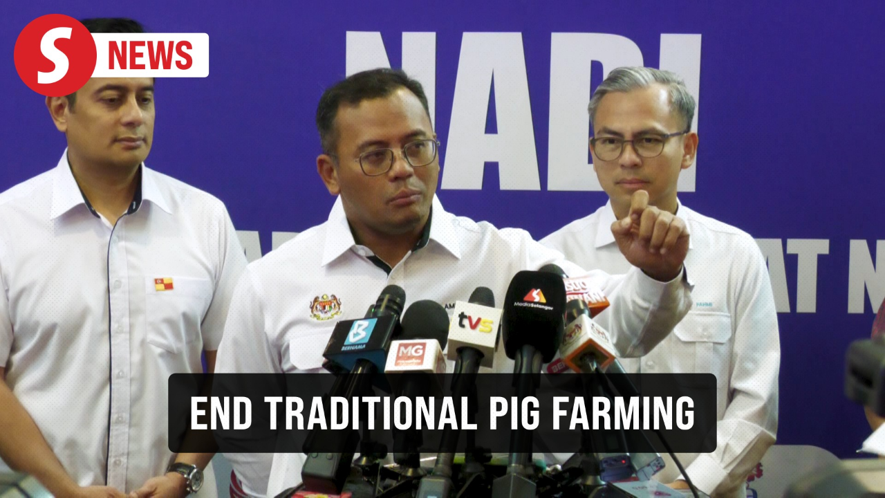 Selangor to phase out traditional pig farming