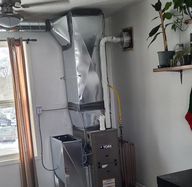 Tenant floored by landlord's ridiculous solution to apartment's carbon ...