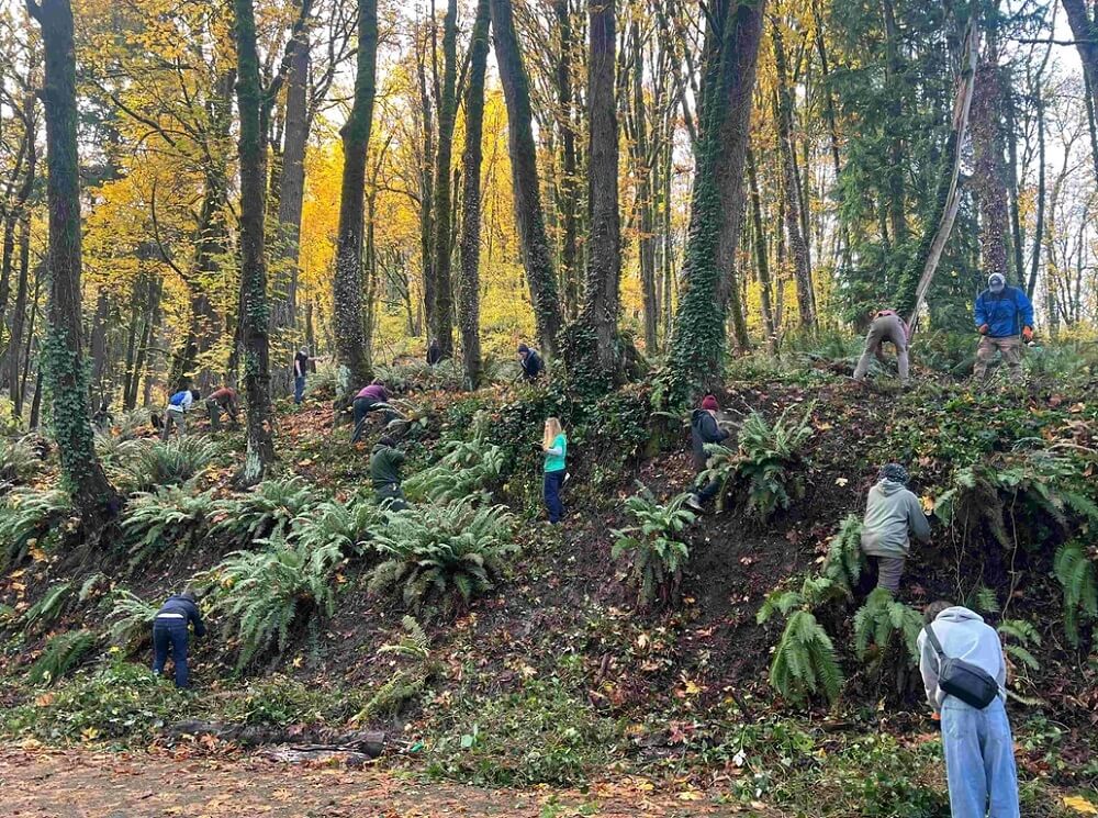 Volunteers band together to fight creeping threat at beloved park: 'Y ...