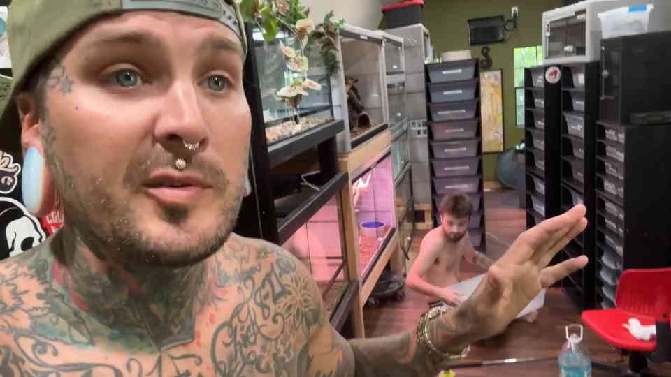 How a missing cobra escalated into a serious emergency