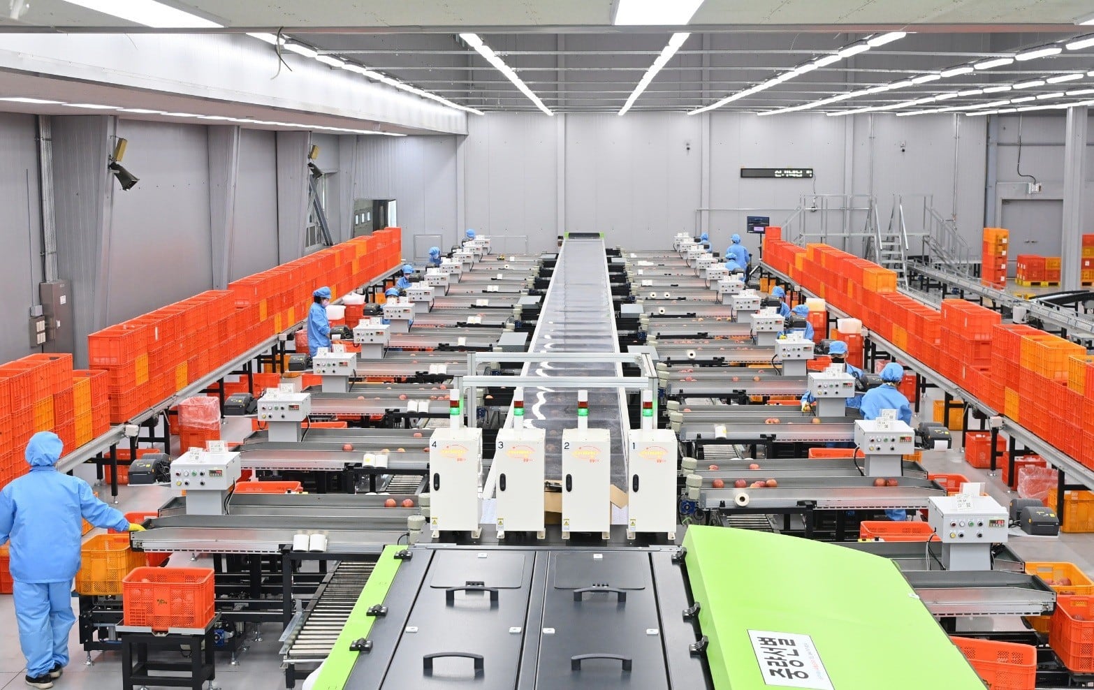 North Gyeongsang deploys AI in agricultural distribution