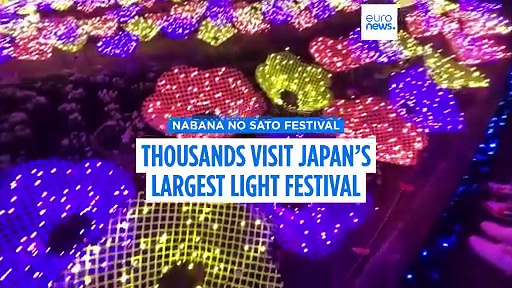 'Only in Japan can you see this!' Inside Nabana no Sato's winter ...