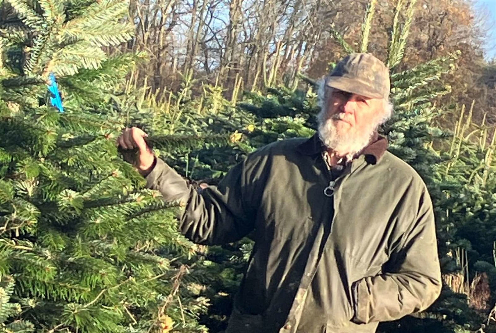 Kingswood Christmas farmer wants to create natural burial ground on ...