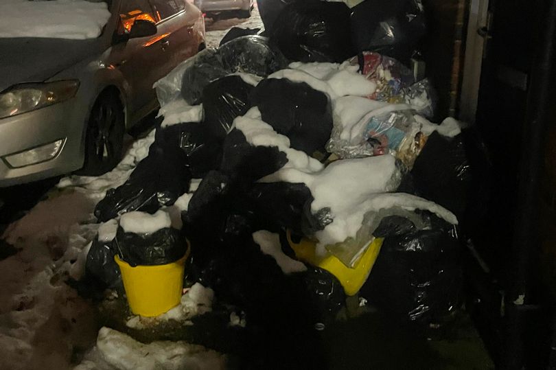 Nurse's agony over fly-tipped filth near her home - including animal's body