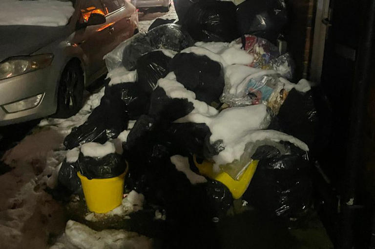 Nurse's agony over fly-tipped filth near her home - including animal's body