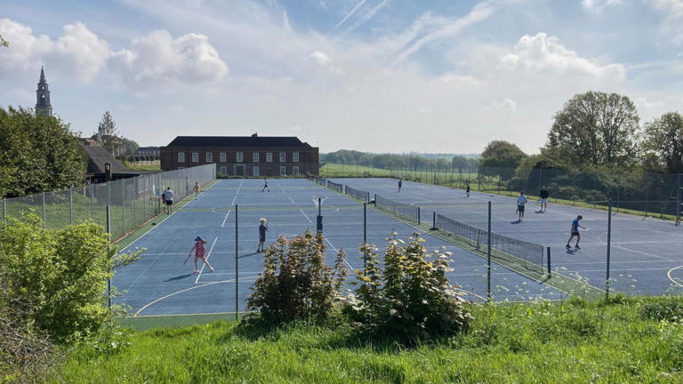 Ex-international 'very sad' to axe cricket festival