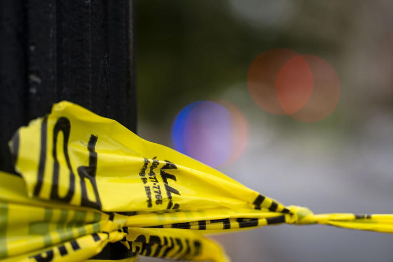 LAPD arrests man accused of driving box truck into anti-Iran regime protest