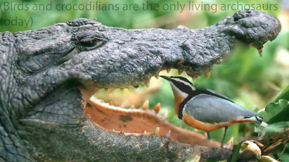 How the Triassic period produced Earth’s most unusual reptiles