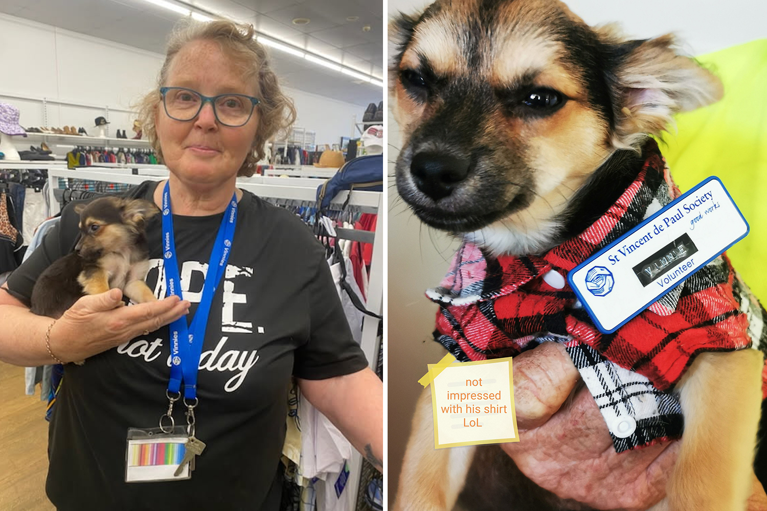 Outrage after Vinnies worker makes sad discovery in op shop donation ...