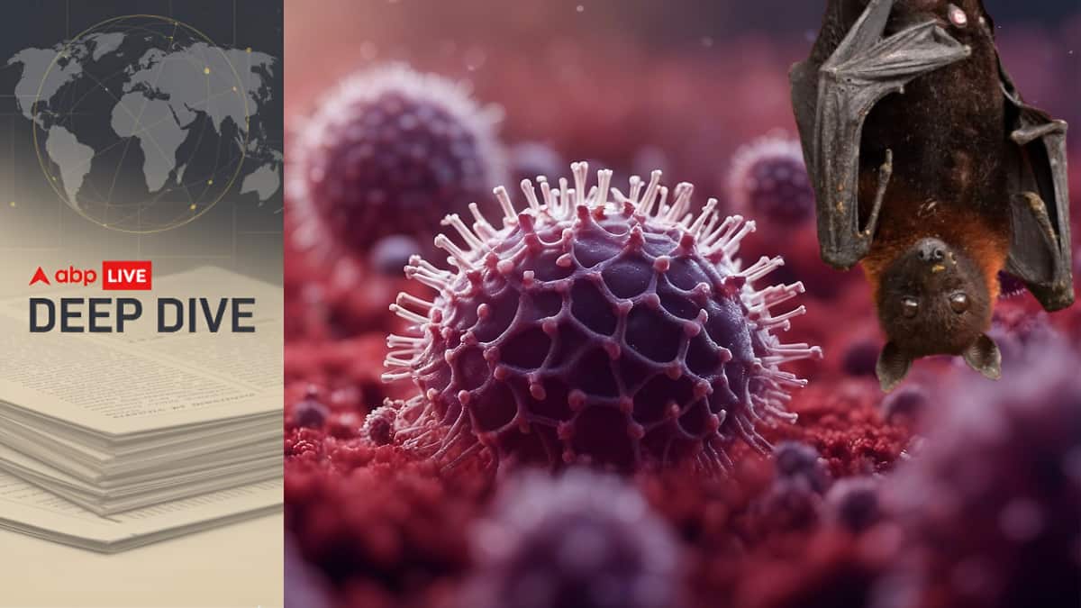Deadly Nipah virus suspected in West Bengal: What it is, how it spreads ...