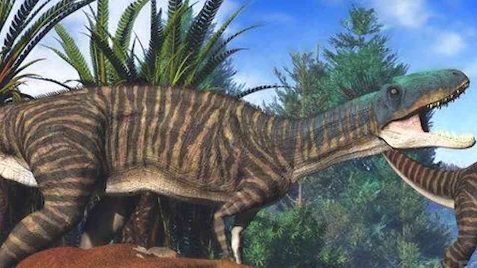 How Carcharodontosaurus became Africa’s top apex predator