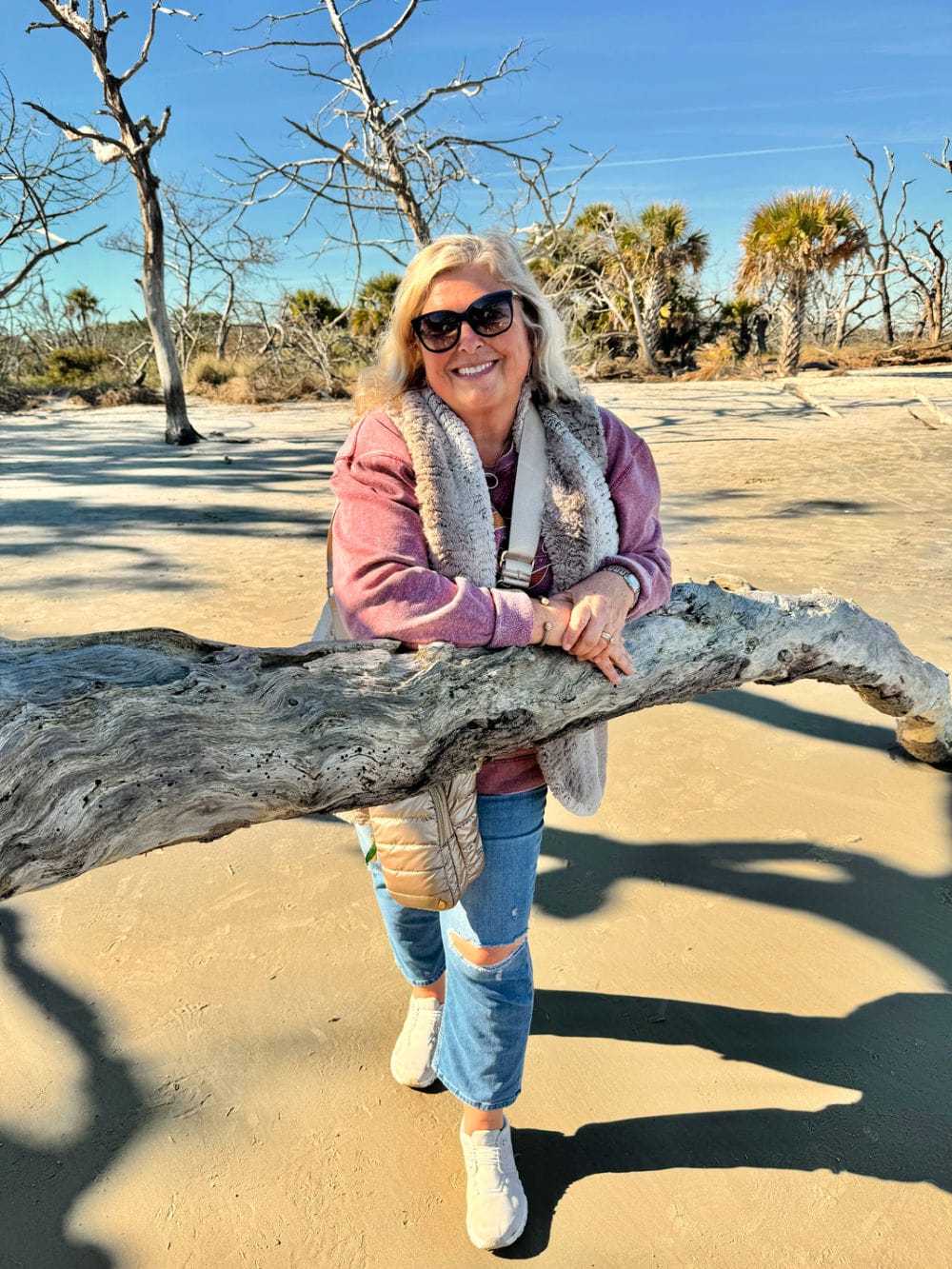 Georgia’s Golden Isles: Discover Brunswick, St. Simons, Jekyll, and Sea ...