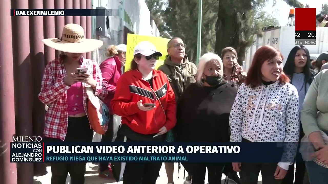 Denuncian maltrato de perros rescatados en el Deportivo Galeana y ...