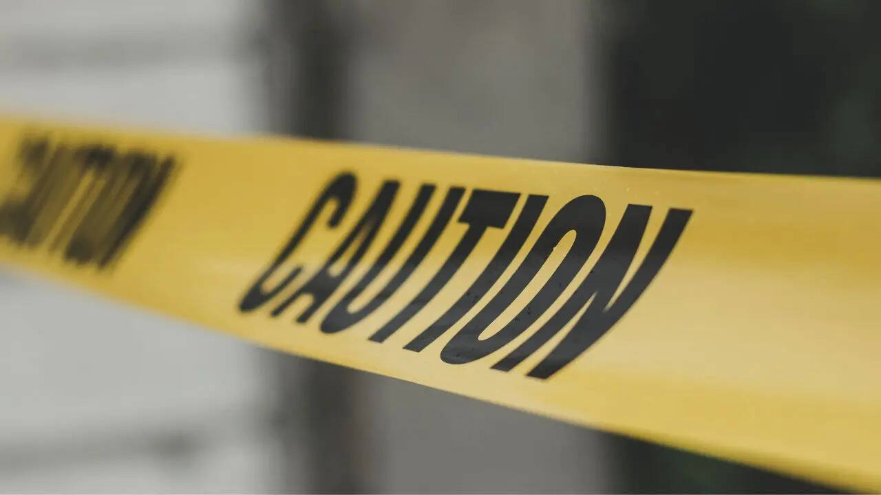 'Tortured for her skin color, face': Mother's big claims in Bengaluru ...