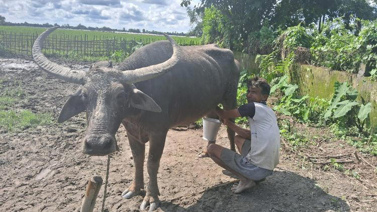 Assam farmer Jitul Buragohain honoured with National Breed Conservation ...