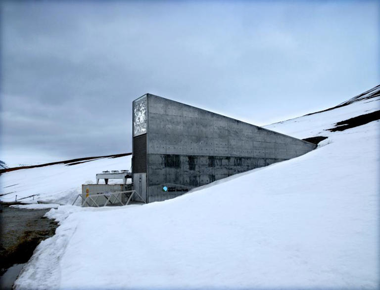 El tesoro de las islas Svalbard