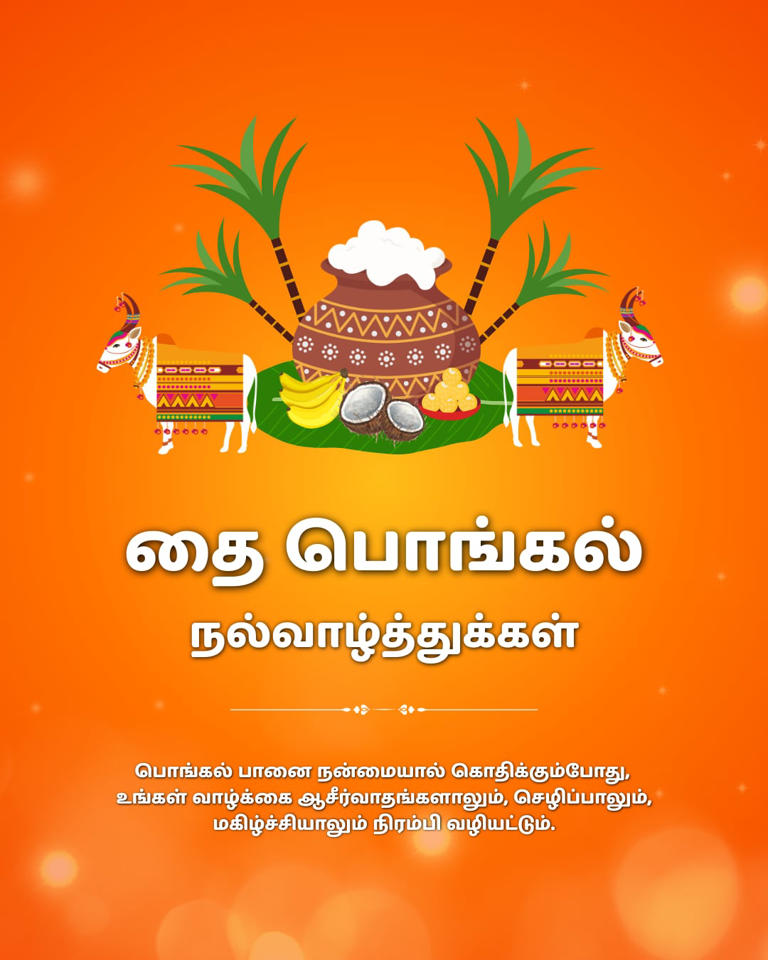 Pongal wishes in Tamil: 203+ images, happy Pongal 2026 messages, quotes ...
