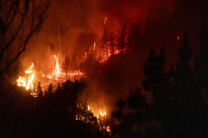 Wildfires, storms fuel 2025 insured losses of $108 billion, Munich Re says
