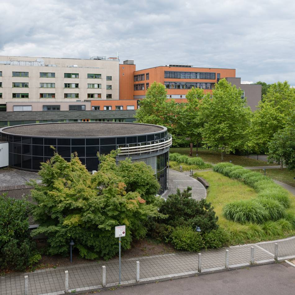 Kostbare Kooperation in unsicheren Zeiten