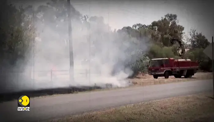 Australia bushfires kill 1, destroy 300 homes as emergency declared | WION