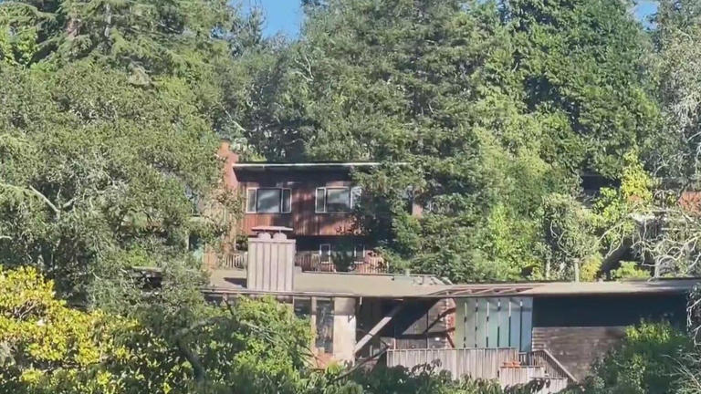 Berkeley Hills community pushing back on Zone 0, fire prevention plan