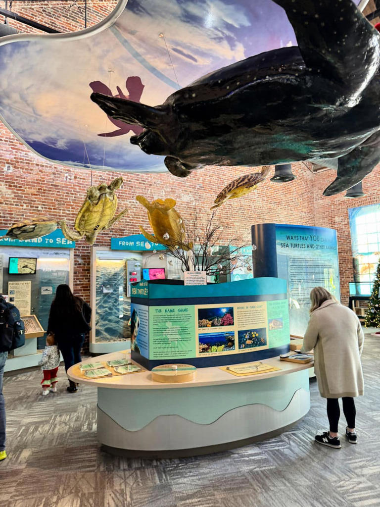 Georgia’s Golden Isles: Discover Brunswick, St. Simons, Jekyll, and Sea ...