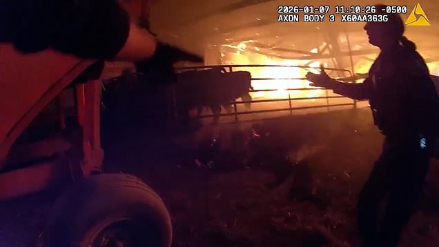Police race through burning barn to save trapped cows