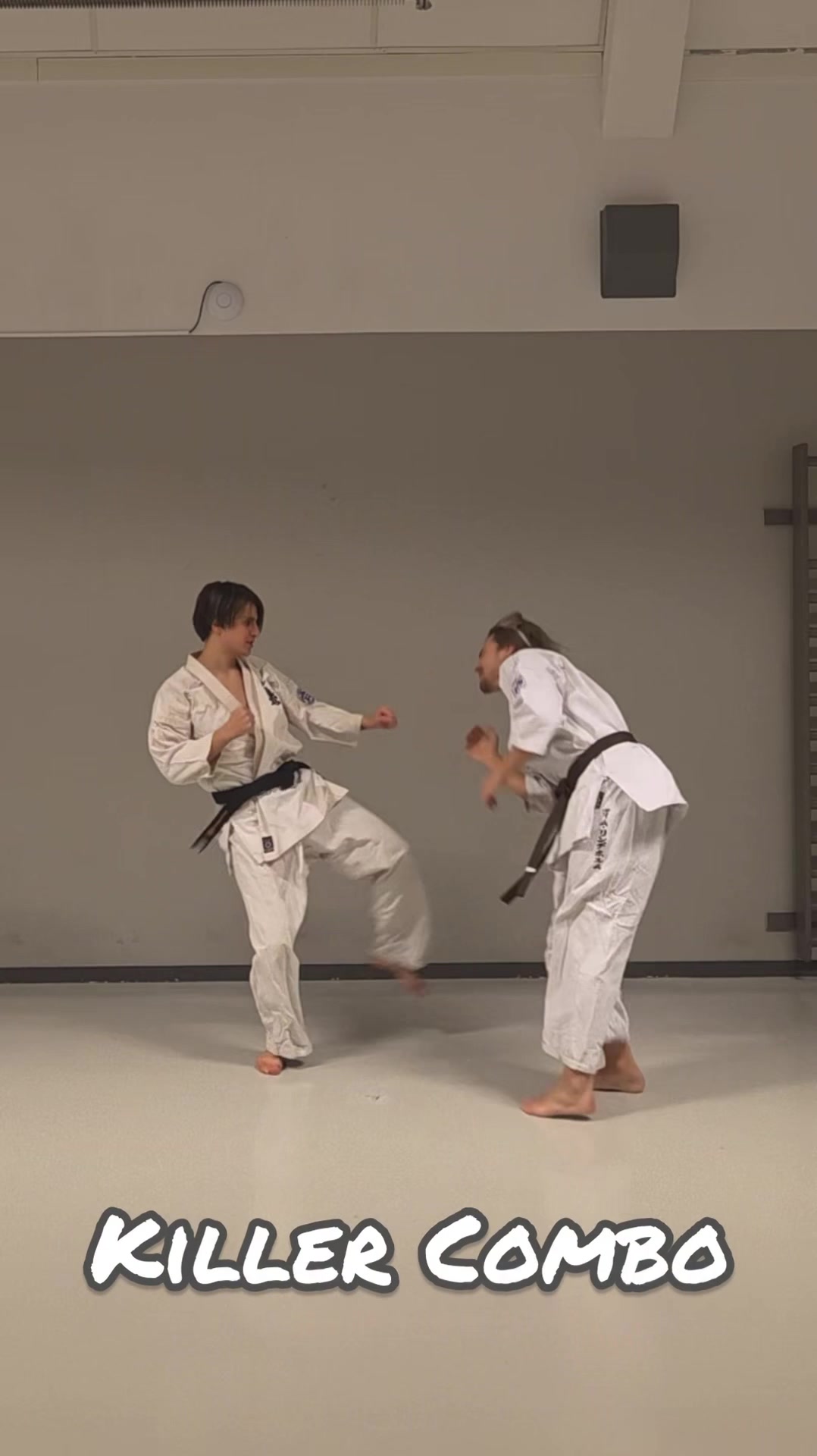 Killer combo | Kyokushin and Shidokan karate
