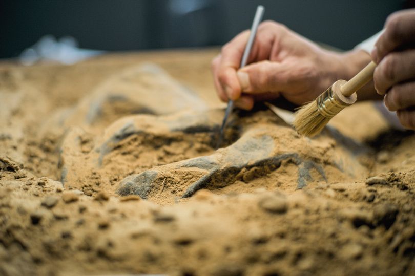 Scientific breakthrough as ancient artefact with chilling death warning ...