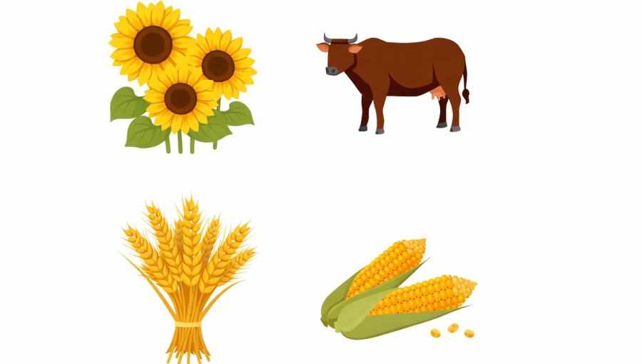 Russian agriculture thrives amid war, weather shocks and sanctions