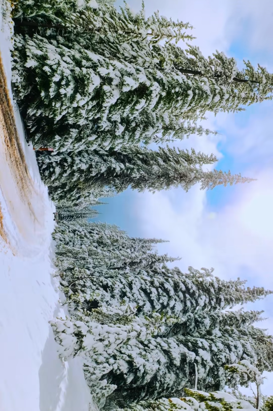 Where this adventure took us