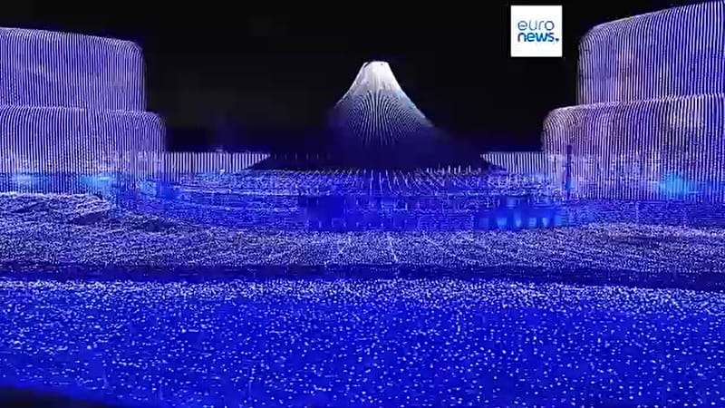 'Only in Japan can you see this!' Inside Nabana no Sato's winter ...