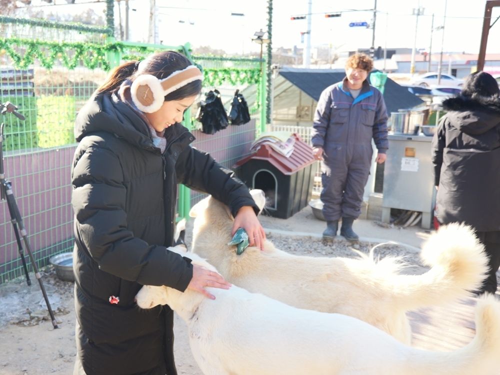 Bin Yeseo delivers 1.6 tons of dog food to a shelter for abandoned dogs ...