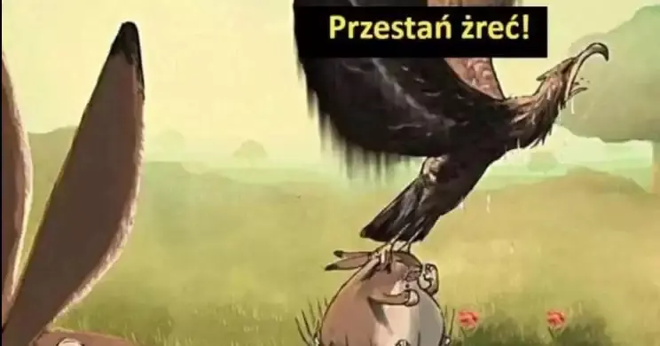 Oto najlepsze memy o odchudzaniu. Śmiej się, ale nie zapominaj o ...