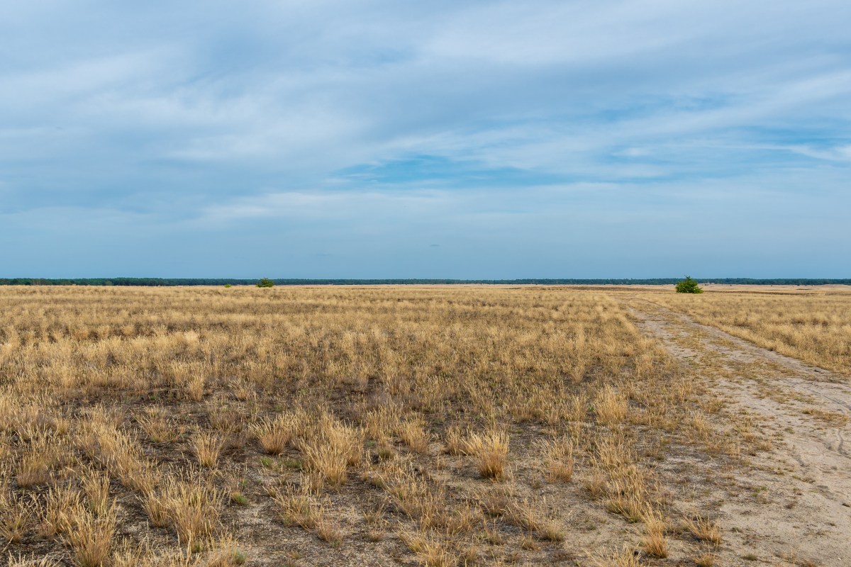 5 Quadratkilometer groß: Diese Wüste befindet sich tatsächlich in ...