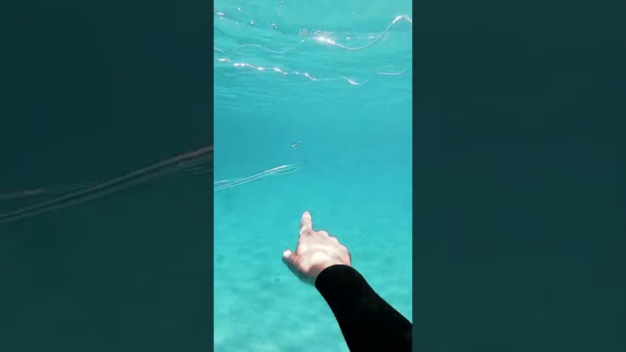 The ribbon went where it shouldn’t