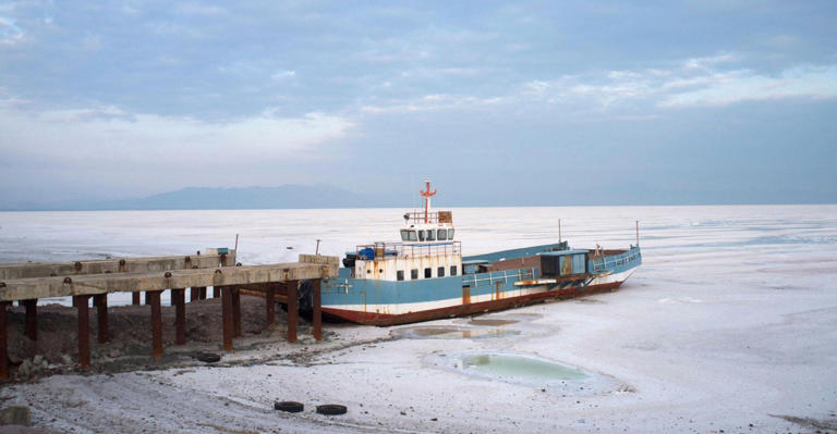 Utah scientists discover brand-new species in Great Salt Lake—only 3 ...