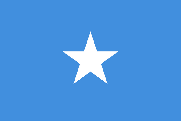 Did Tim Walz change Minnesota's flag to resemble Somalia's? We have the ...