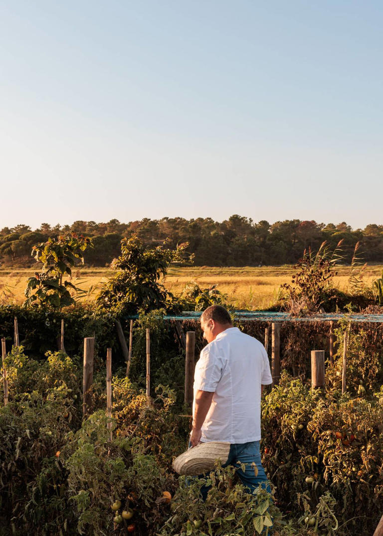 Arrozal e horta biológica inspiram rituais exclusivos de bem-estar na ...