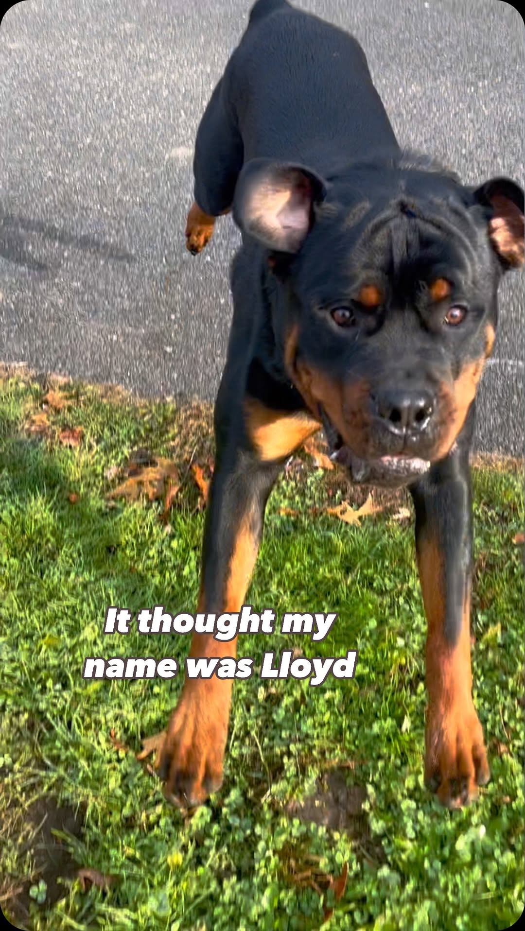 What’s your weirdest nickname? Here’s mine