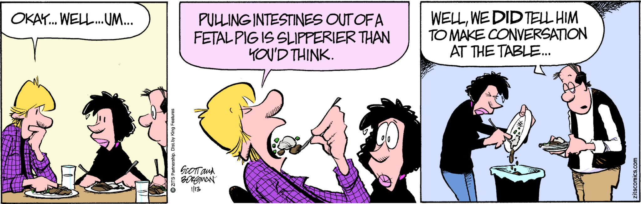 Zits by Jerry Scott and Jim Borgman