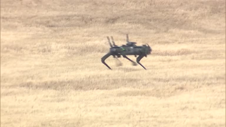 Quadrupedal robots debut in Japan's Self-Defense Force exercise